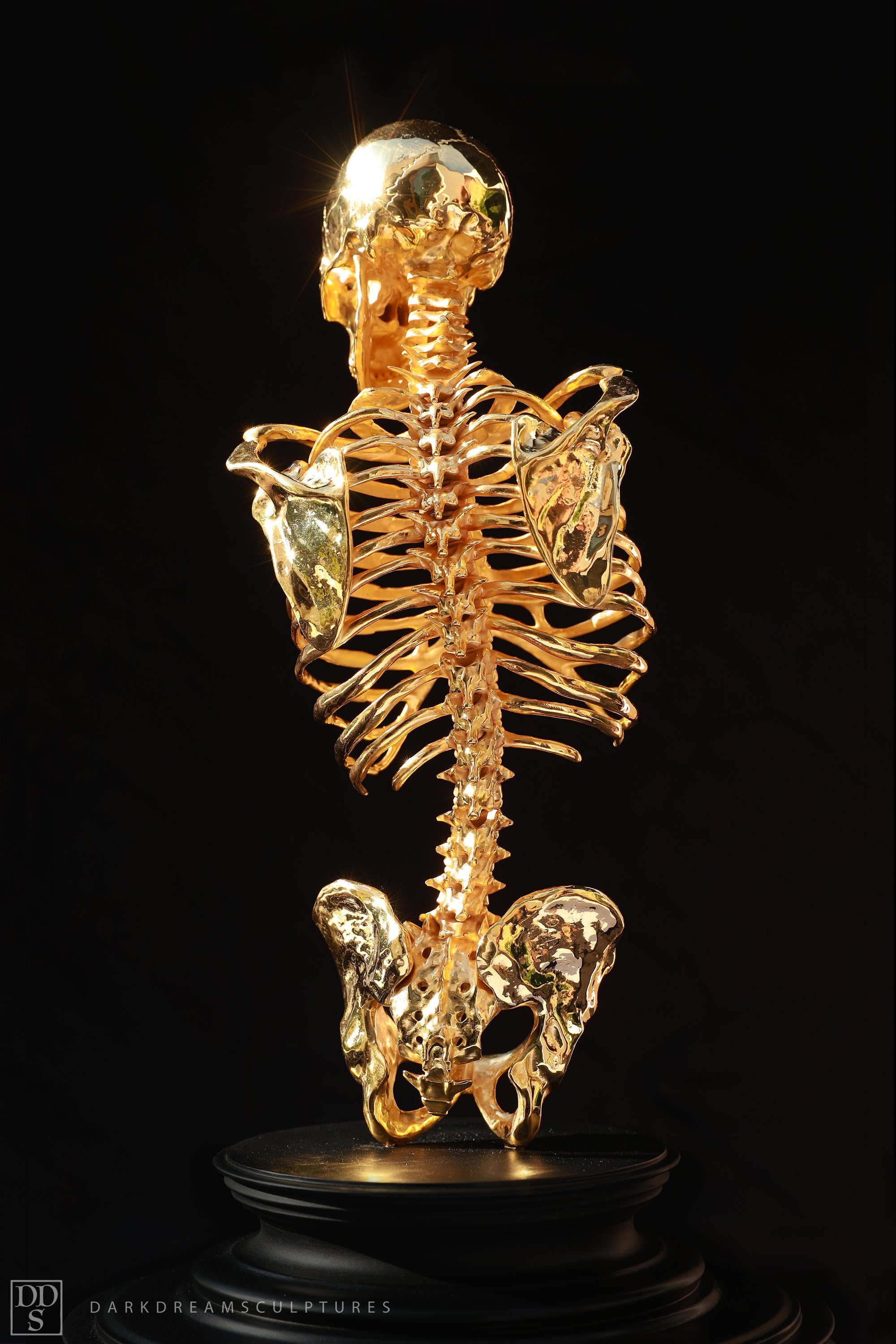 Gilded Bones (24-karat) – DarkDreamSculptures